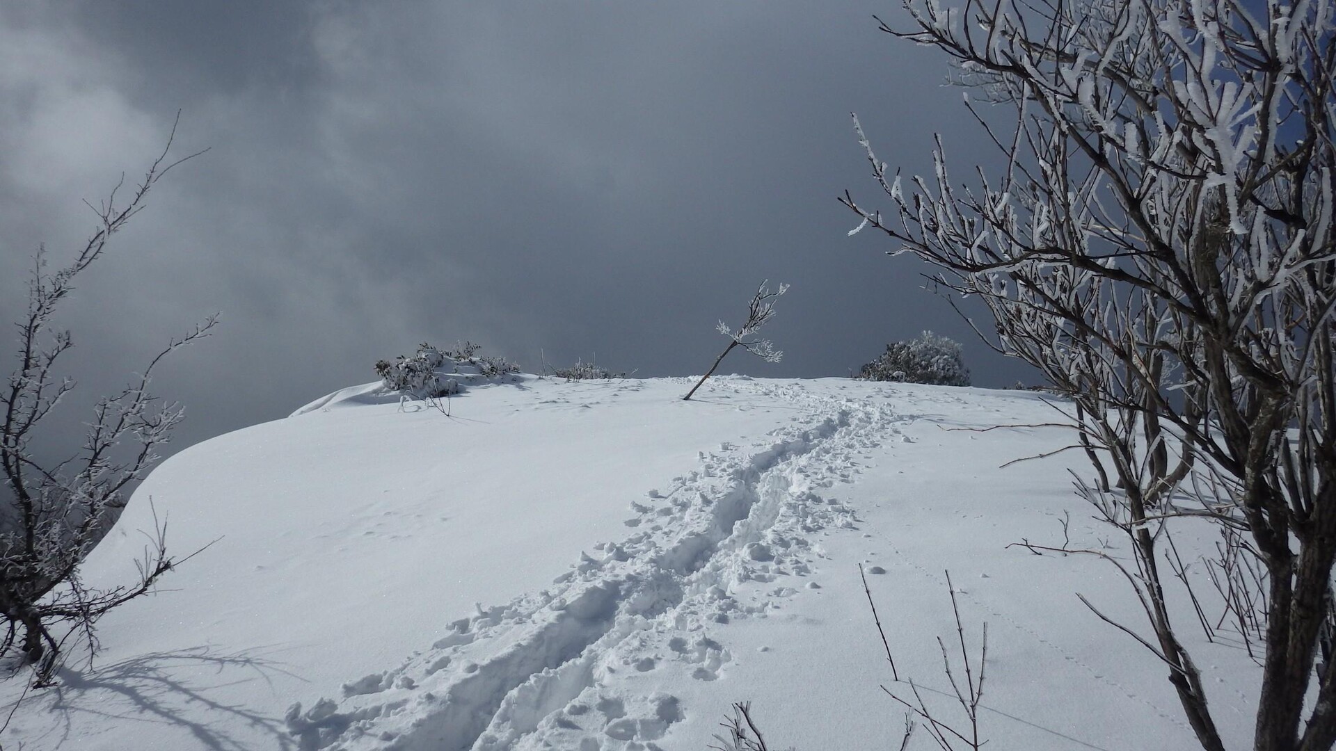 蛇谷ヶ峰 / TYさんの蛇谷ヶ峰の活動データ | YAMAP / ヤマップ