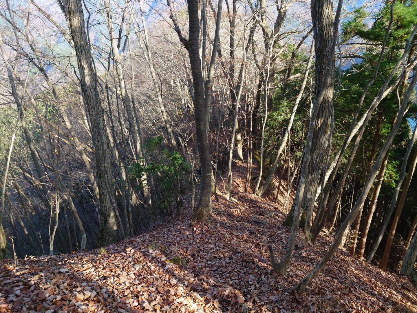 Kai.yさんの投稿したフィールドメモ | YAMAP / ヤマップ