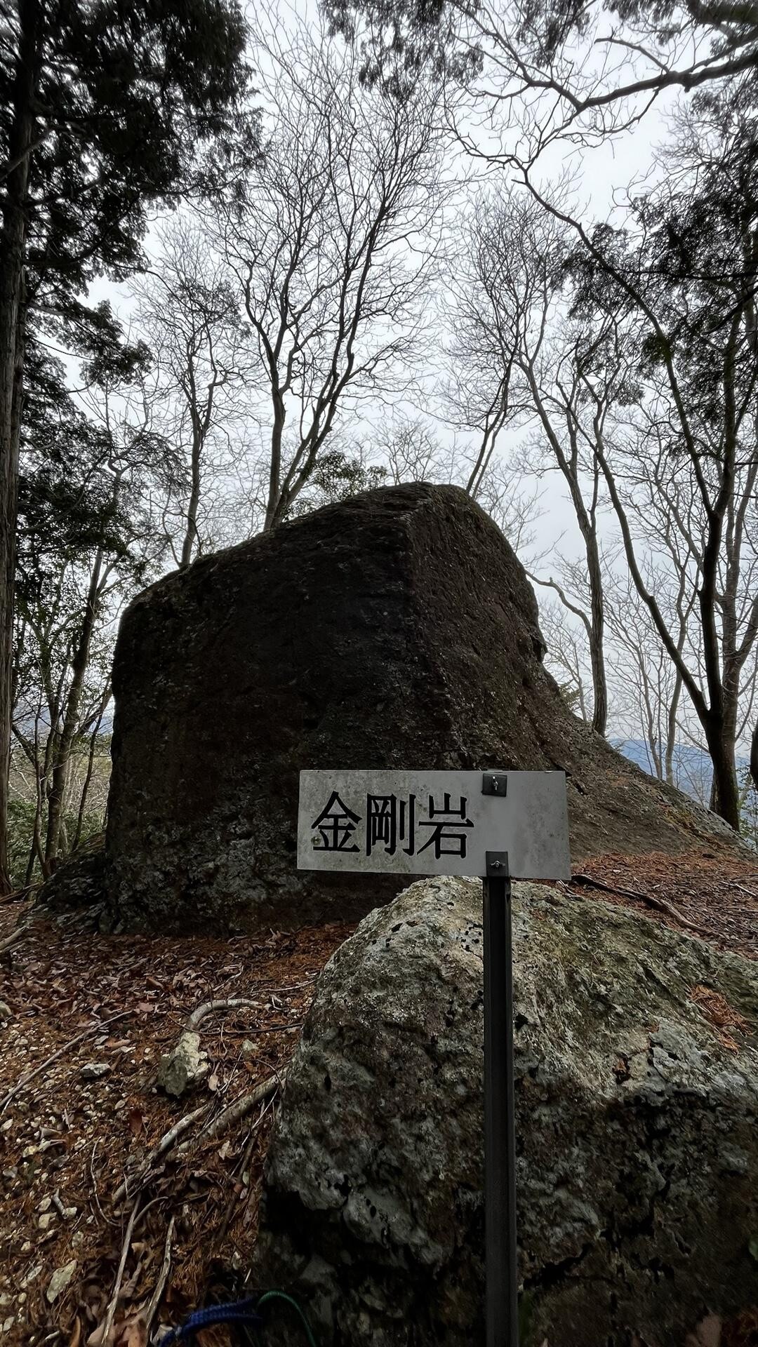 宍粟50名山41 宮山・宮山東ピーク / ノbuさんの長水山・水剣山・水剣槍の活動日記 | YAMAP / ヤマップ