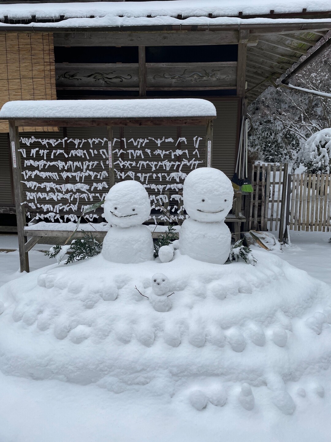 湧出岳・葛木岳・金剛山 / mayumikoさんの金剛山・二上山・大和葛城山の活動データ | YAMAP / ヤマップ