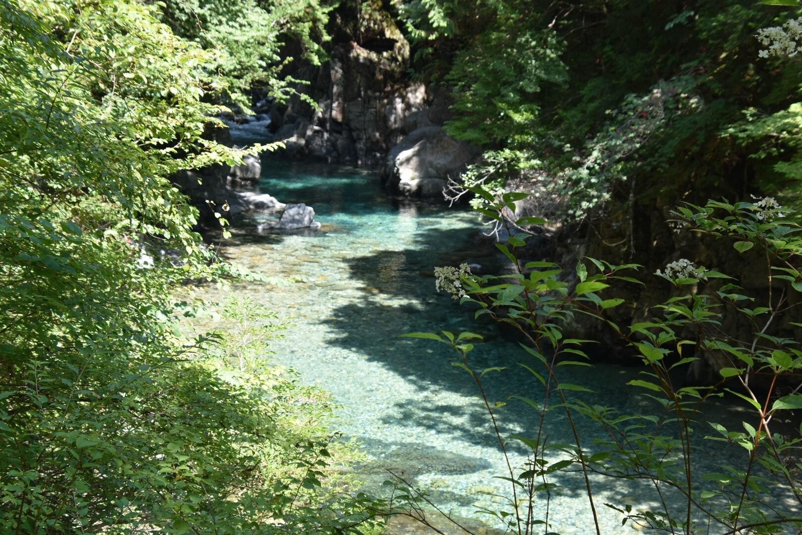 阿寺ブルーに魅せられて / Y-Yuccaさんのハイキングの活動データ | YAMAP / ヤマップ