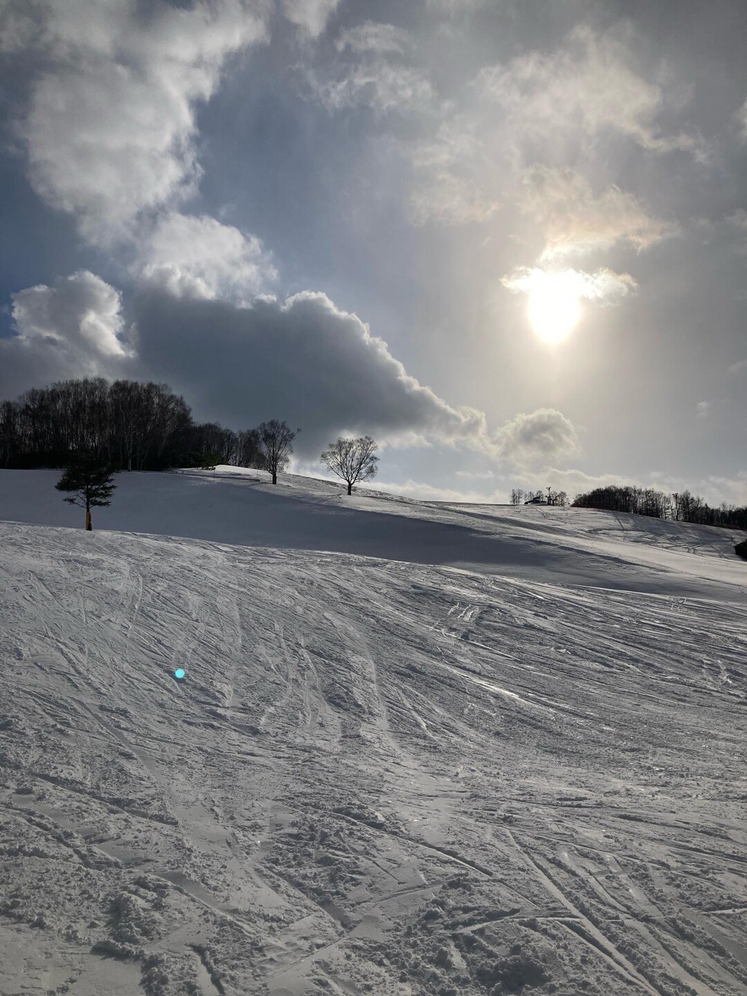 DYNASTY SKI RESORT / すみれさんの白旗山の活動データ | YAMAP / ヤマップ