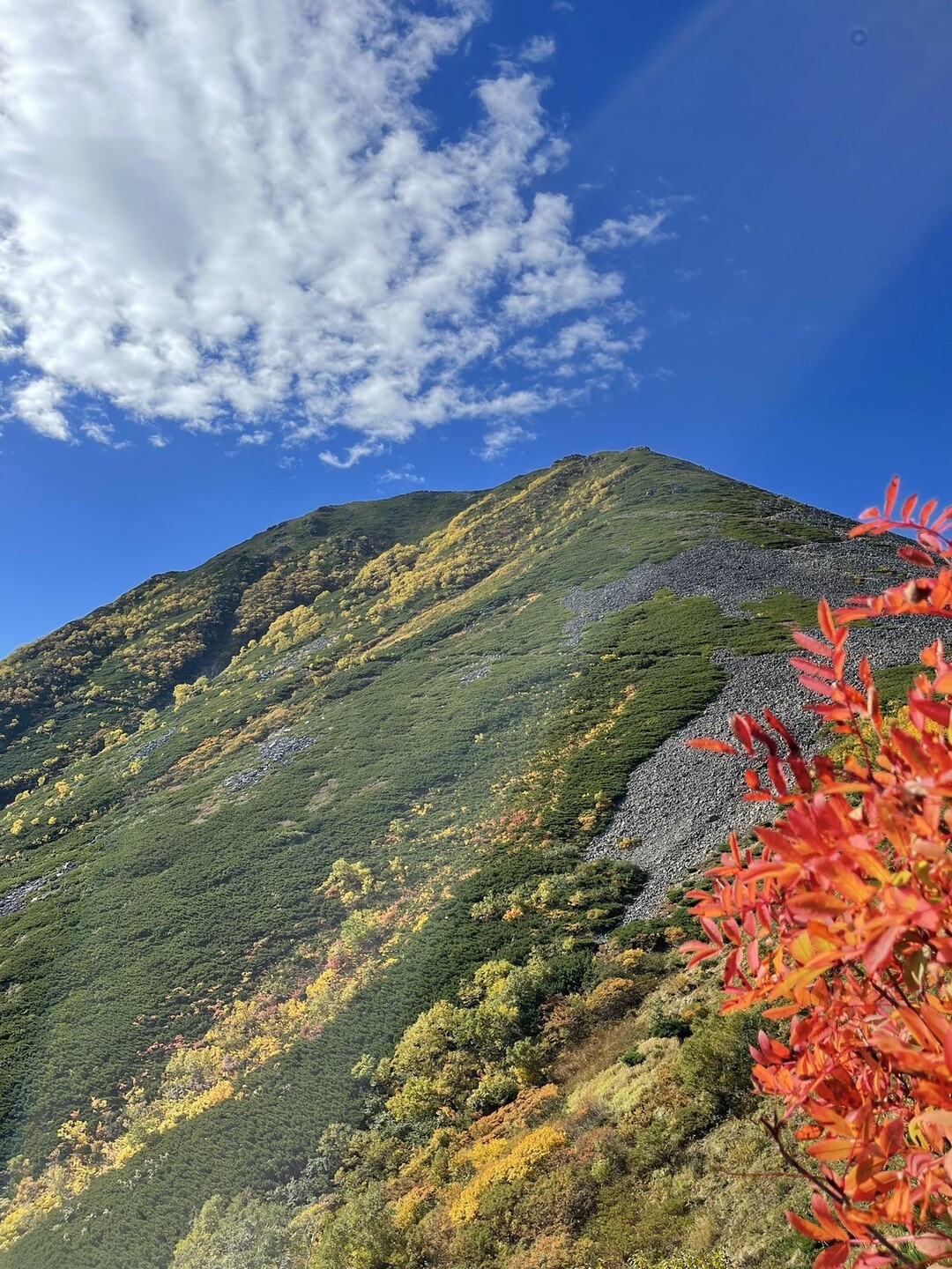 紅葉始まってたよ🍁〜常念岳 / bar.akiraさんの常念岳・大天井岳・燕岳の活動データ | YAMAP / ヤマップ