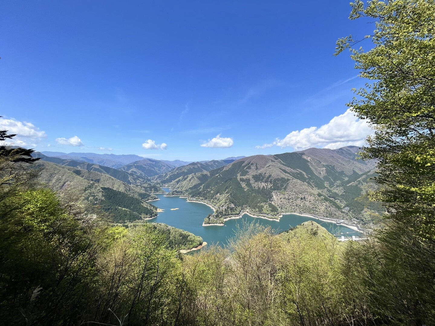 指沢山・惣岳山・御前山・クロノ尾山・鞘口山・鋸山・愛宕山 / Sugar さんの大岳山・御岳山・御前山の活動データ | YAMAP / ヤマップ