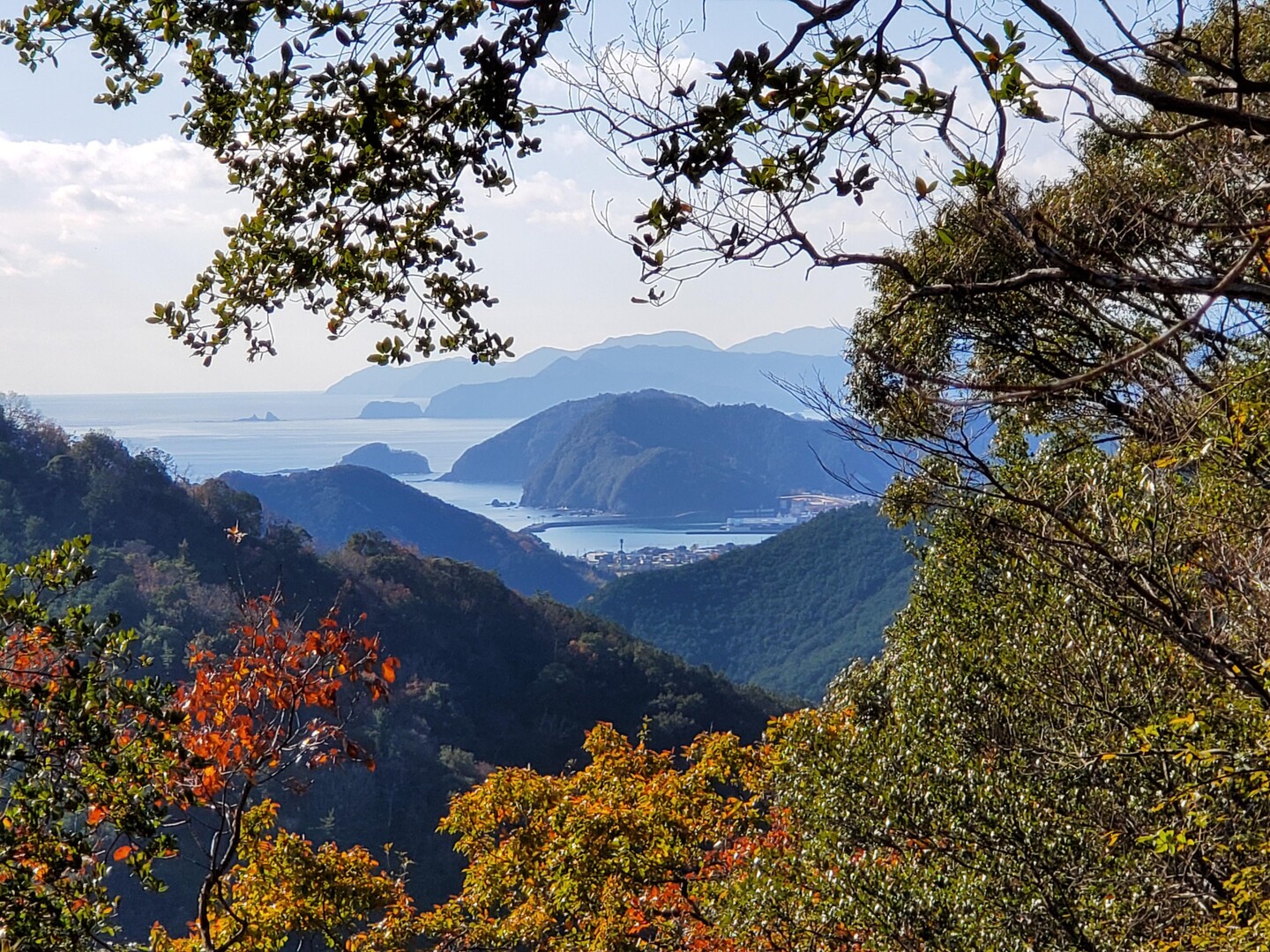 大紀町～紀北町 X'mas Cycling / airiskochanさんのサイクリングの活動データ | YAMAP / ヤマップ