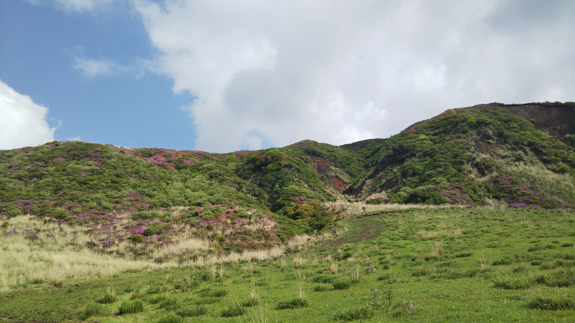 深山霧島満開 草千里～烏帽子岳。 初めて... / ナナさんのパパさんのモーメント | YAMAP / ヤマップ