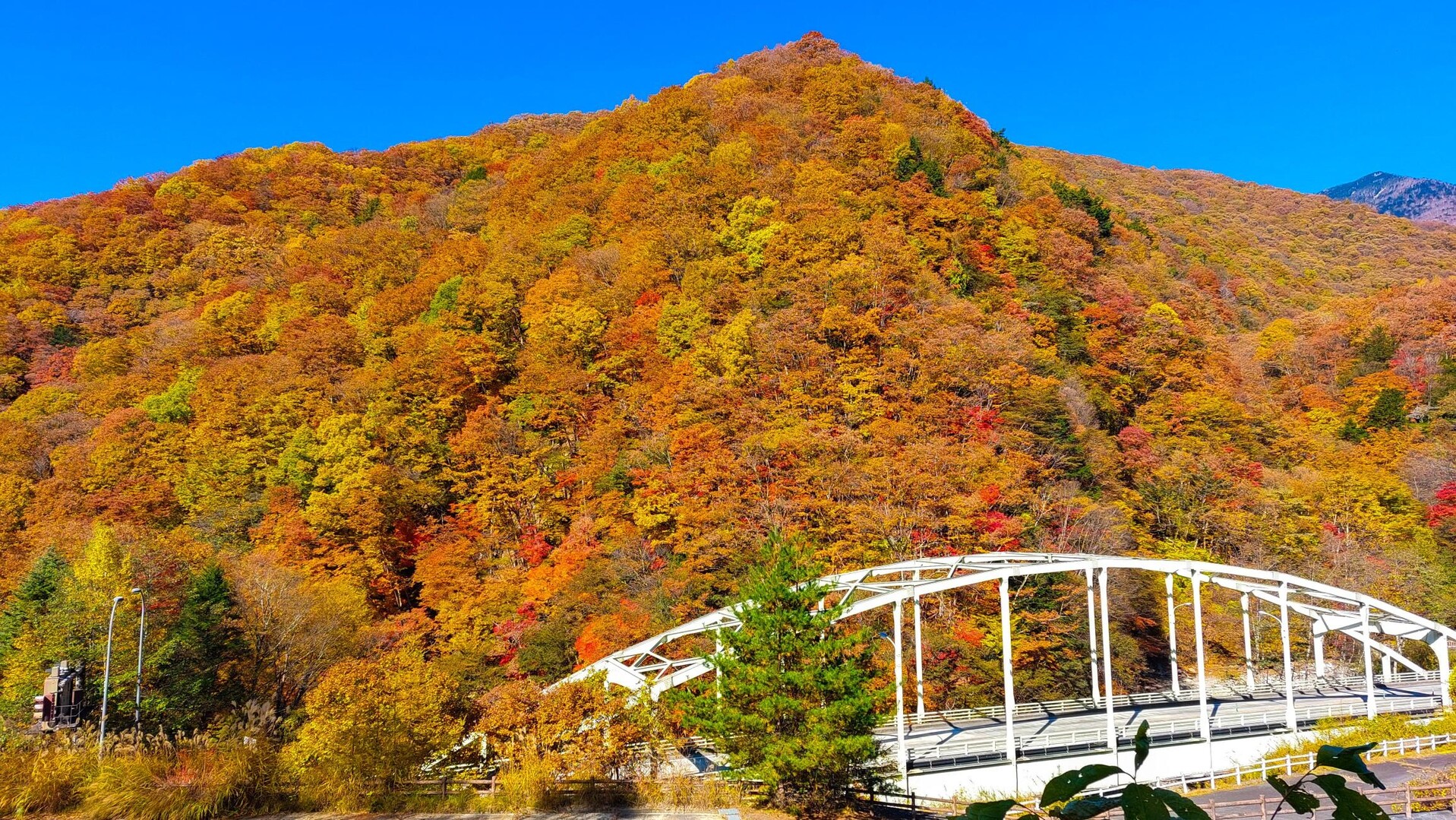 甲武信ヶ岳～徳ちゃん新道から雁坂峠へ / mitchさんの甲武信ヶ岳の活動データ | YAMAP / ヤマップ