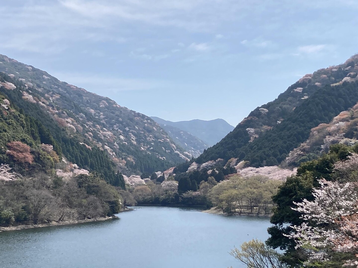 諭鶴羽山&三熊山🌸 / ikukoさんの淡路島の活動データ | YAMAP / ヤマップ
