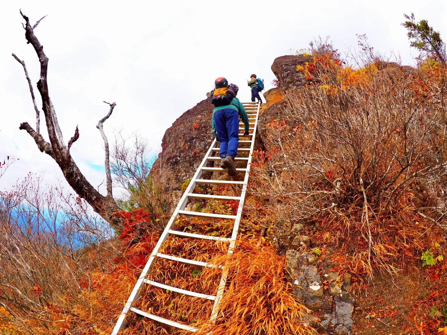 十二ヶ岳縦走 / 青のかおりさんの節刀ヶ岳・破風山・足和田山の活動データ | YAMAP / ヤマップ