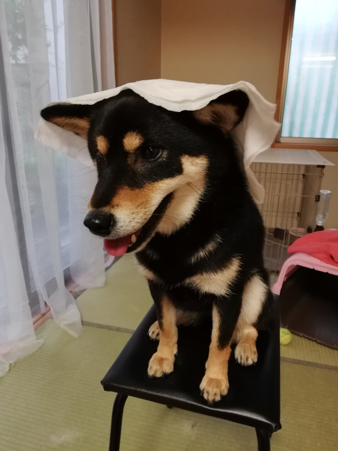 k.mimuのページ | YAMAP / ヤマップ