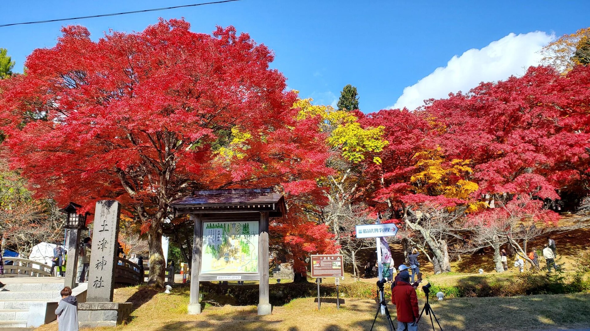 小春日和の中☀️🍃 風に誘われ会津漫遊... / mozuさんのモーメント | YAMAP / ヤマップ