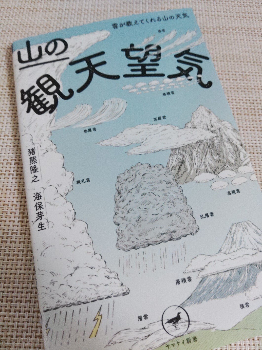 会社の人が貸してくれました。 今夜は読書... / salmaさんのモーメント | YAMAP / ヤマップ