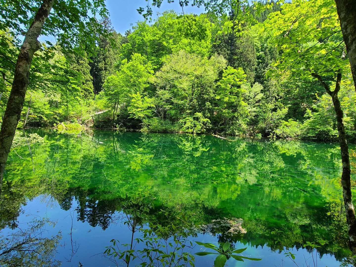 龍ケ窪 / Reyさんの大峰・秋葉山・清津峡の活動データ | YAMAP / ヤマップ