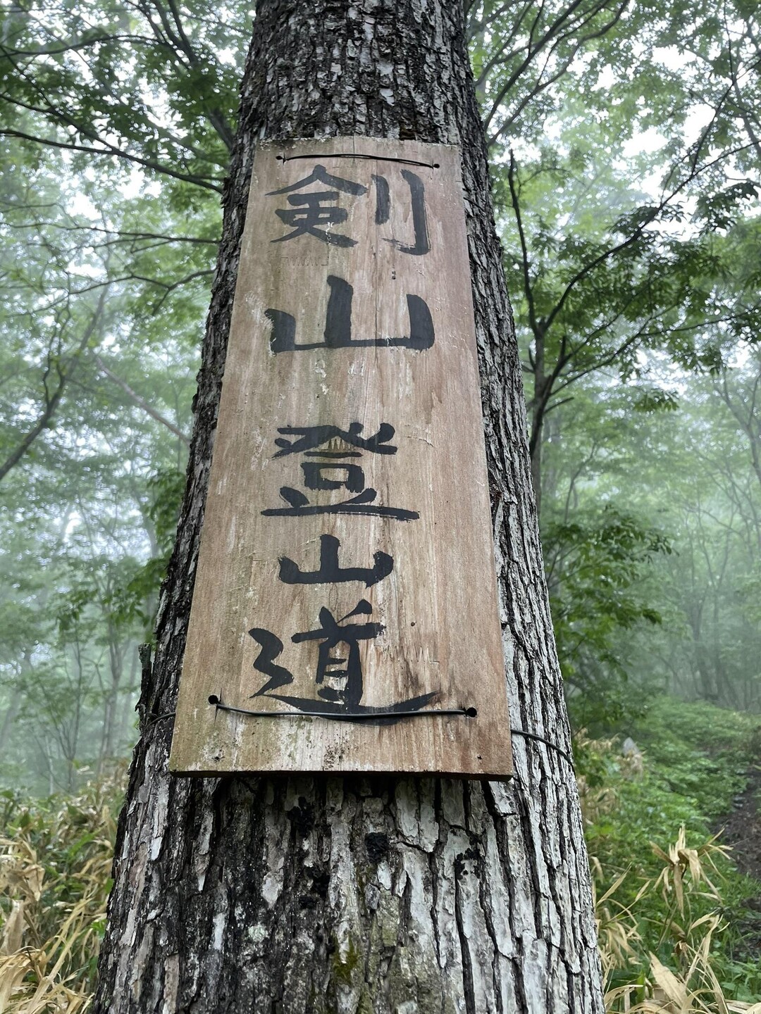 はじめましての剣山 / goemonさんの芽室岳・久山岳・剣山の活動データ | YAMAP / ヤマップ