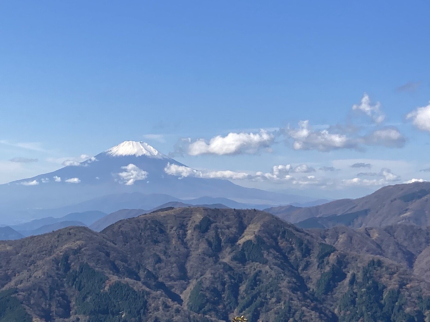 久しぶりの大山 / sugiさんの大山の活動データ | YAMAP / ヤマップ