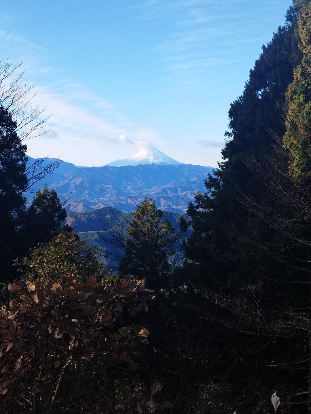 景信山・城山（小仏城山）・高尾山 / horitakaさんの高尾山・陣馬山・景信山の活動データ | YAMAP / ヤマップ