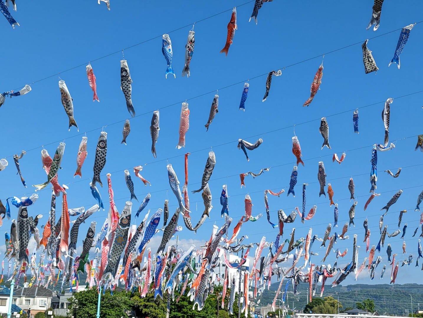 ポンポン山 & 🎏 / koke（苔）さんのポンポン山・釈迦岳・小塩山・若山の活動データ | YAMAP / ヤマップ
