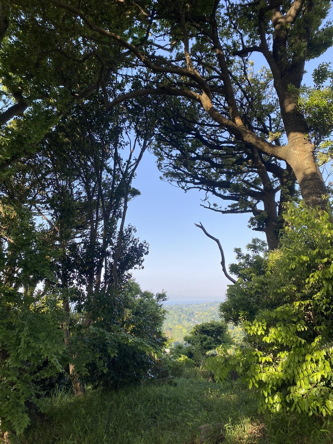 自分スタンダード鎌倉アルプス周回コース／5月GW / Junさんの鎌倉アルプス（大平山・天台山）の活動データ | YAMAP / ヤマップ