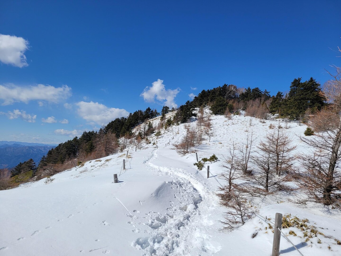 雪の大菩薩嶺～冬季ルート～ / shunさんの大菩薩嶺・鶏冠山・大マテイ山の活動データ | YAMAP / ヤマップ