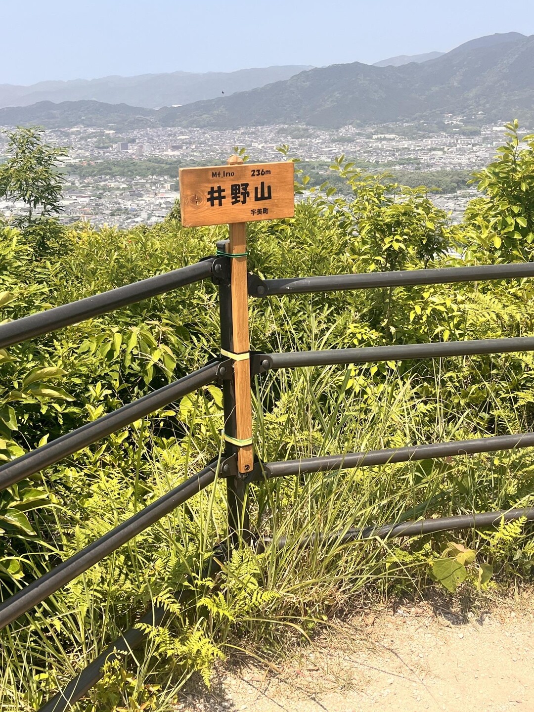 井野山-2024-5-21(88) / kaz@Tak2さんの井野山の活動データ | YAMAP / ヤマップ