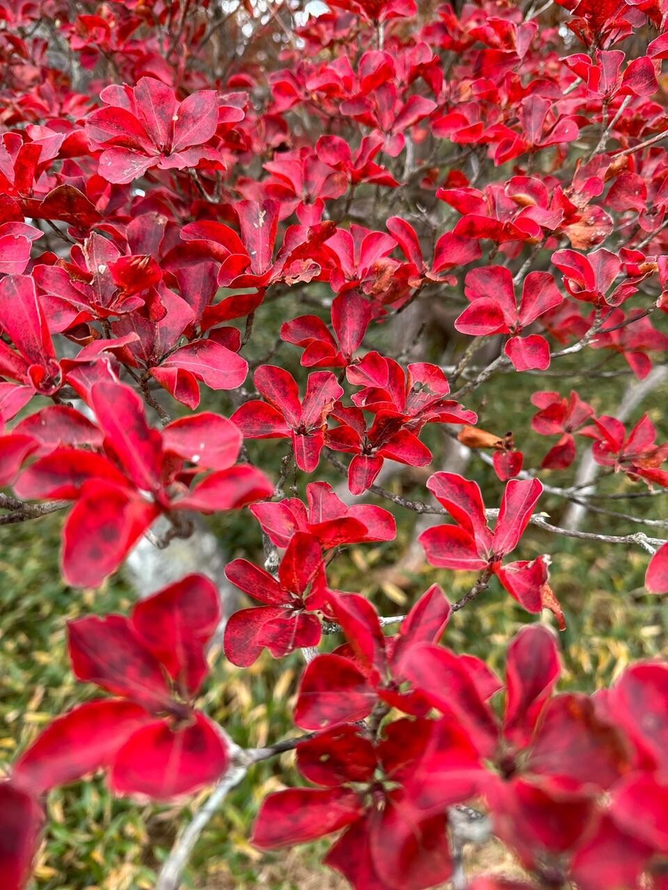 H2Oのページ | YAMAP / ヤマップ