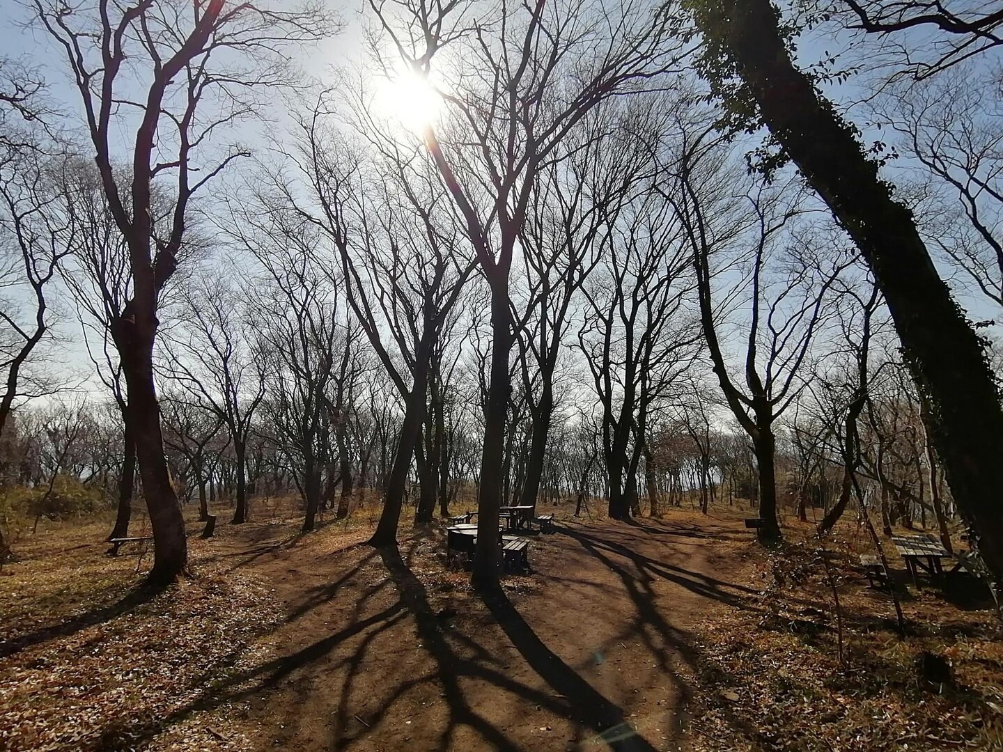 S.Nさんの投稿したフィールドメモ | YAMAP / ヤマップ