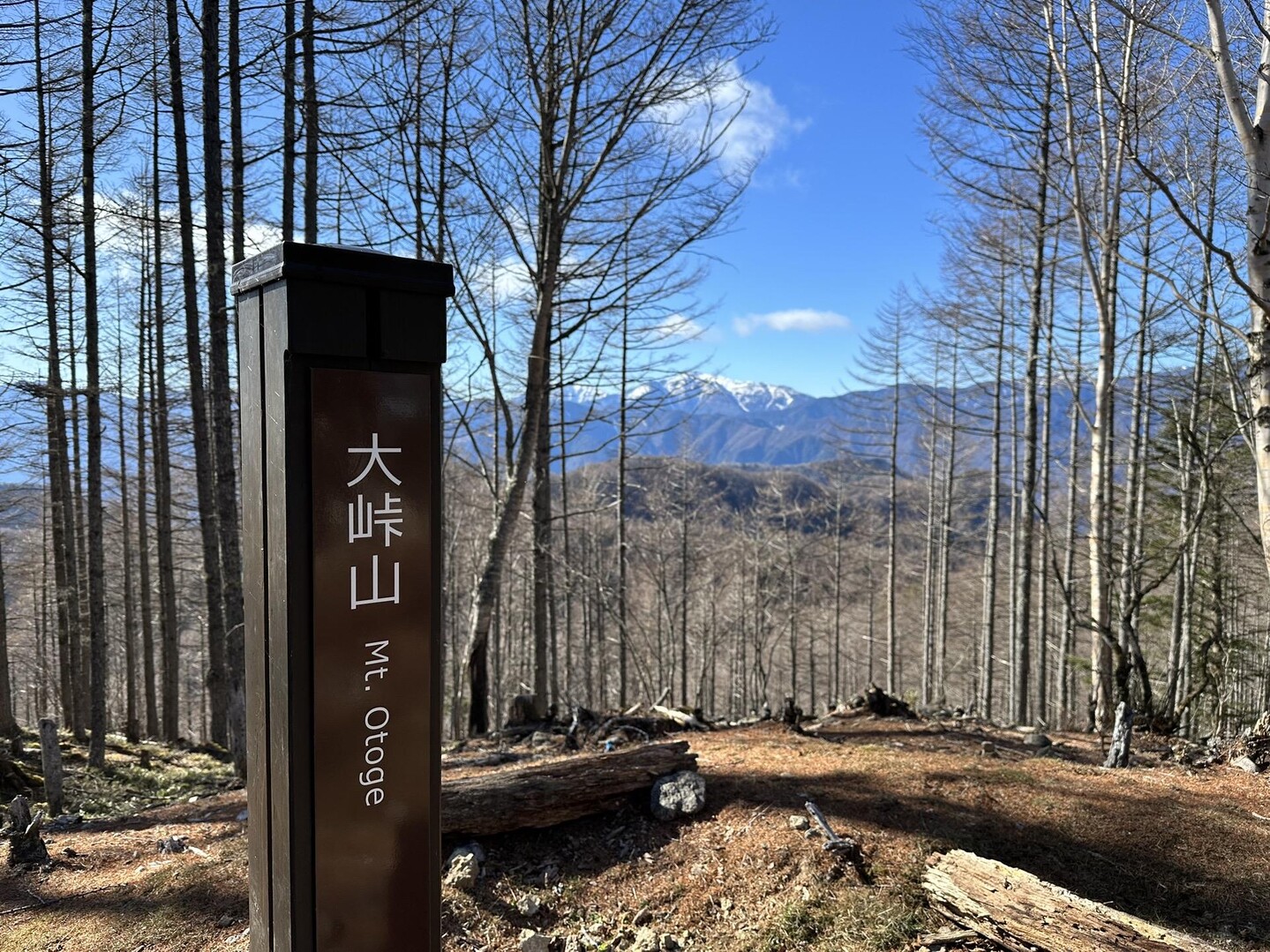 源氏山・大峠山 / nakaekoさんの源氏山の活動データ | YAMAP / ヤマップ