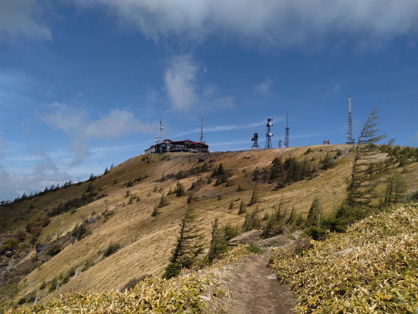 🌸Mt.Utsukushigahara⚡ / 🌸Springthunders⚡さんの美ヶ原の活動データ | YAMAP / ヤマップ