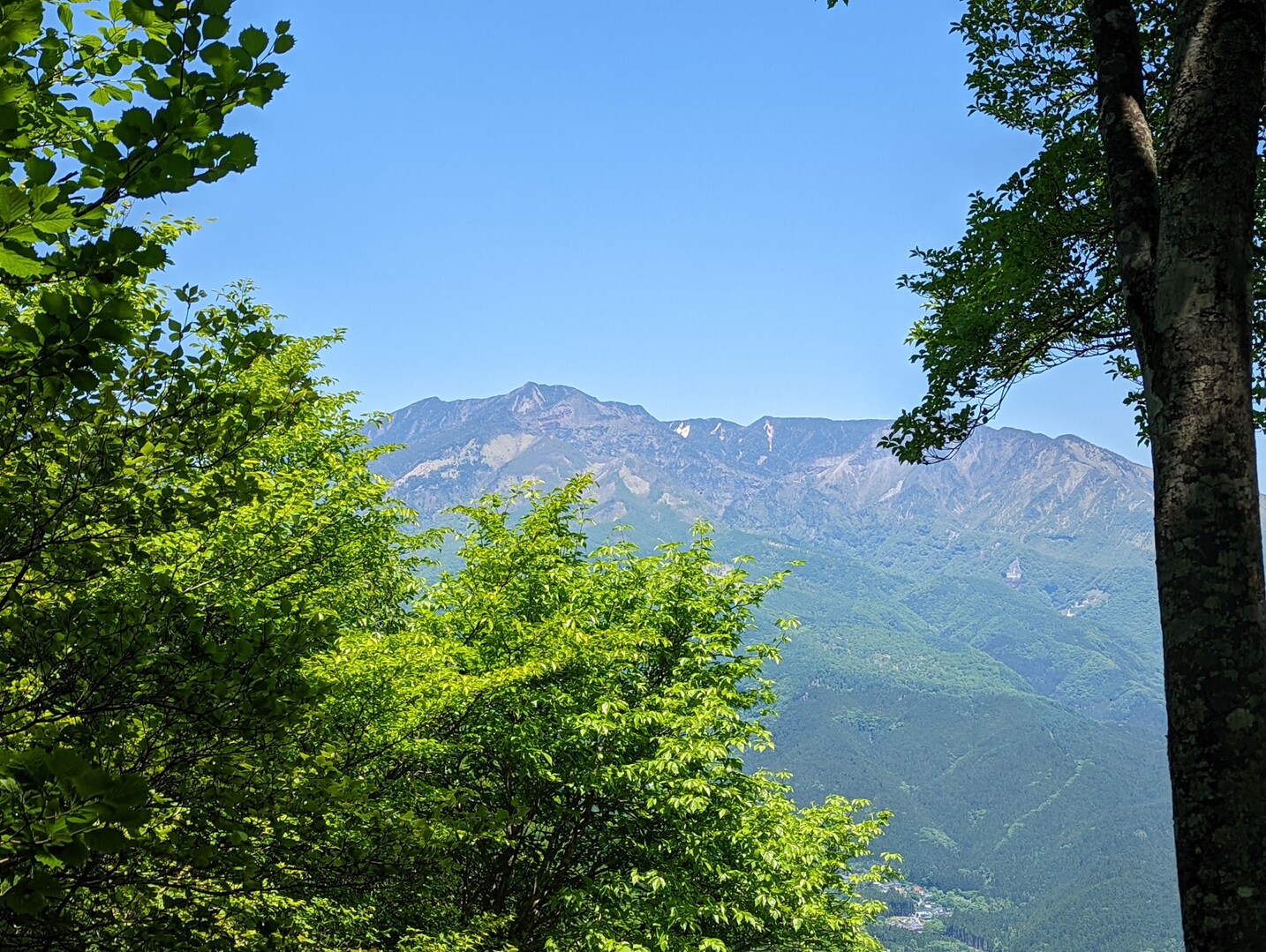 神ノ主山・鳴虫山・合峰・独標 / sakagrunさんの鳴虫山・火戸尻山の活動データ | YAMAP / ヤマップ