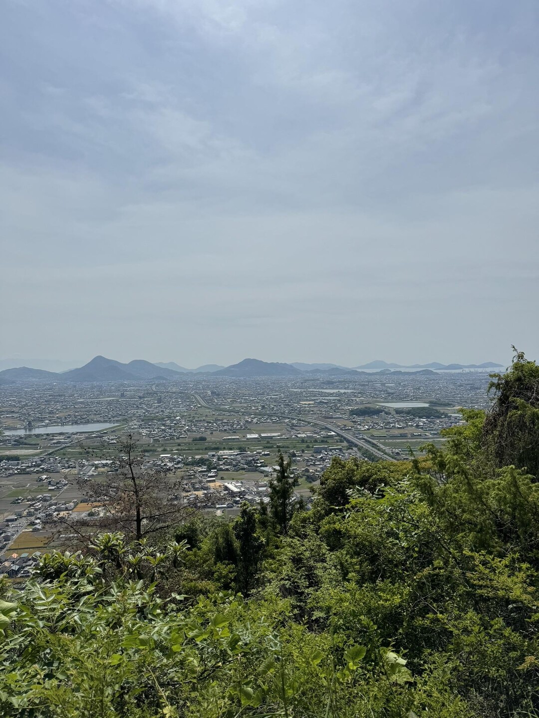 飯野山（讃岐富士） / Leeさんの飯野山（讃岐富士）の活動データ | YAMAP / ヤマップ