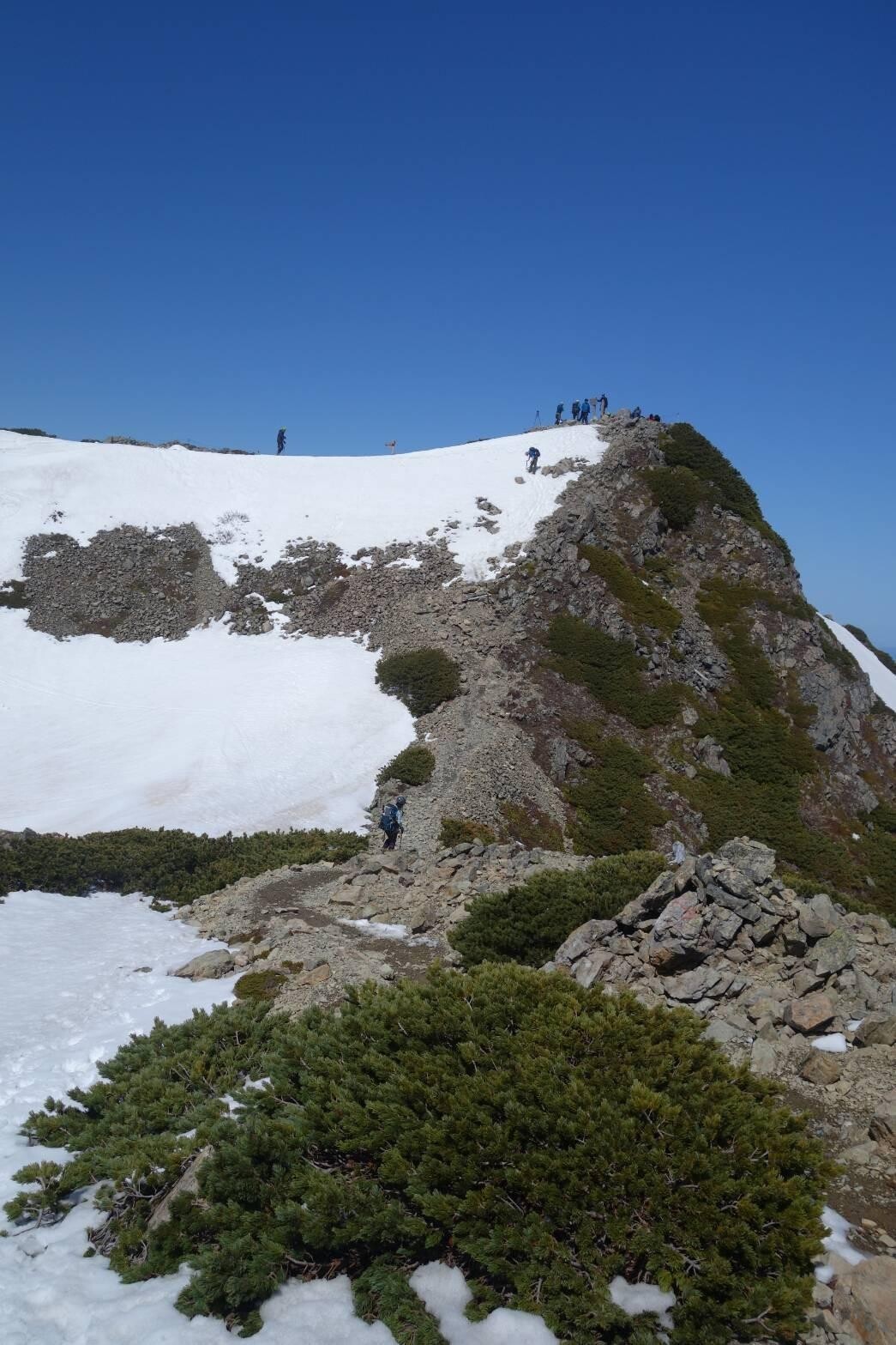 残雪期の仙丈ヶ岳 / YUMIちゃんさんの仙丈ヶ岳・伊那荒倉岳の活動日記 | YAMAP / ヤマップ
