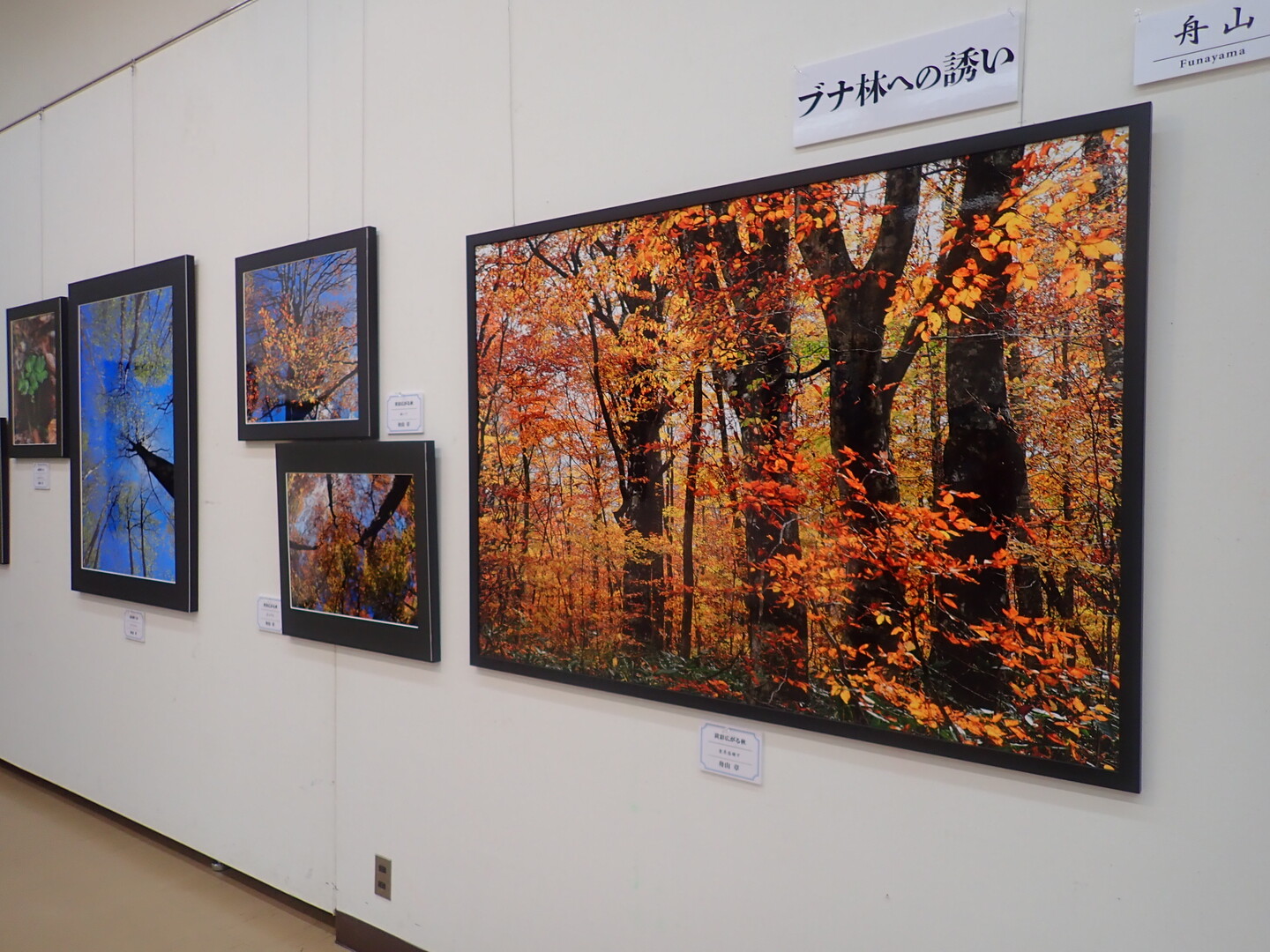 12月6日まで山岳写真展【想いの山202... / fuuさんのモーメント | YAMAP / ヤマップ