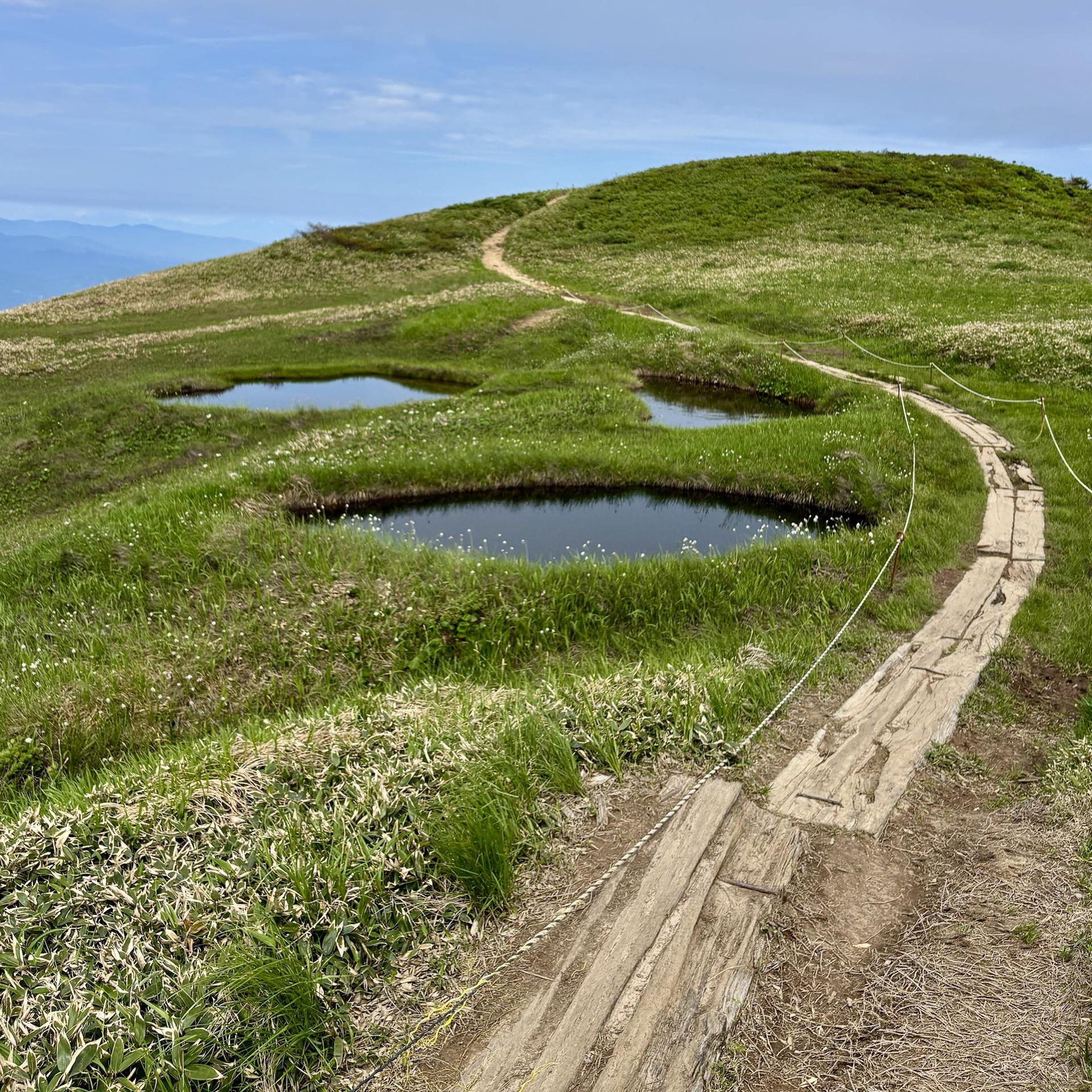 素晴らしい稜線歩きの巻機山 / chieさんの巻機山・割引岳・金城山の活動日記 | YAMAP / ヤマップ