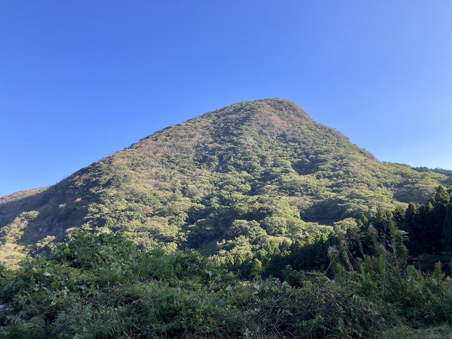 -fin- KAWARAぬ想い / たんたんまるさんの福智山・尺岳・雲取山の活動データ | YAMAP / ヤマップ