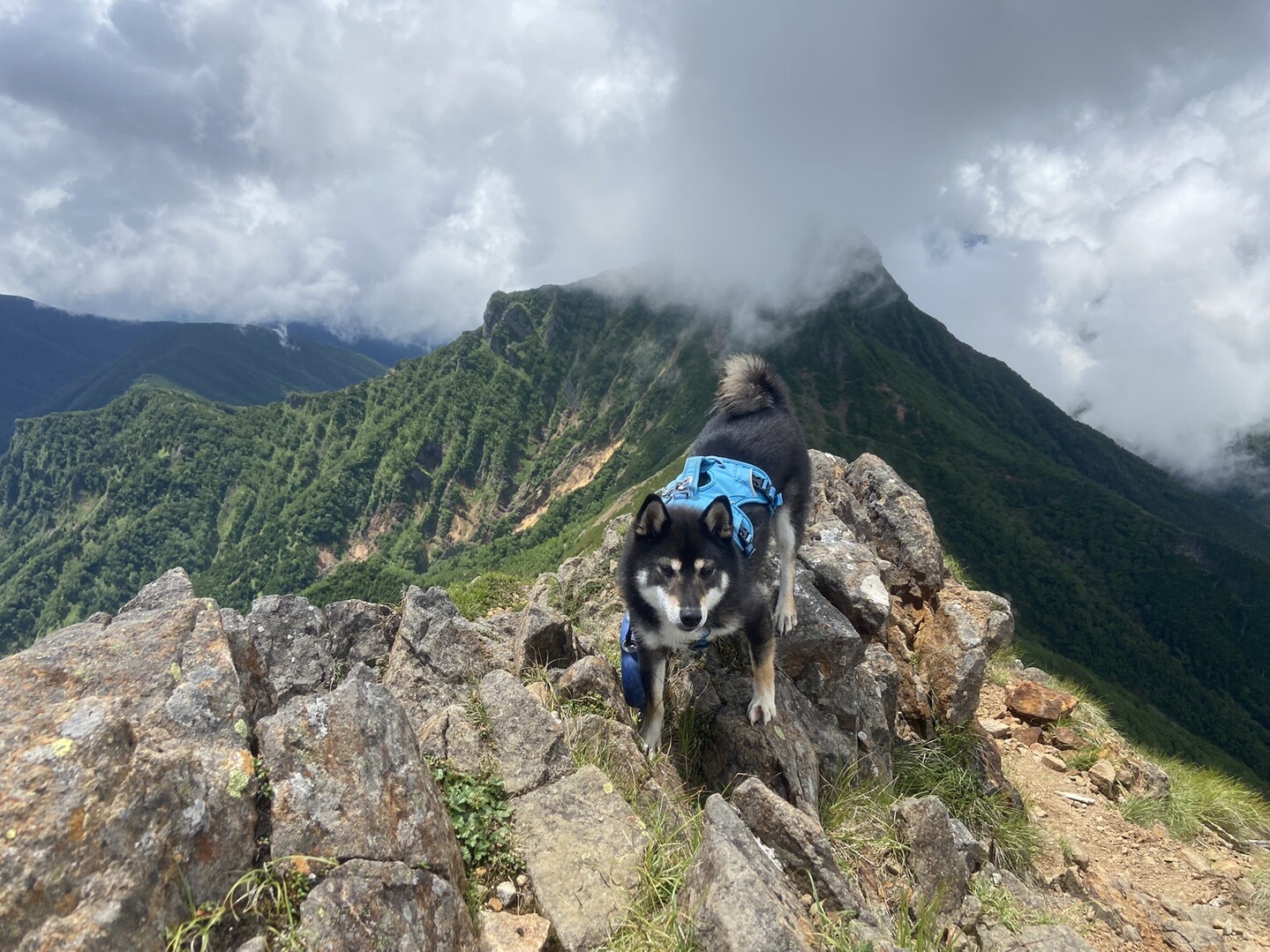 ラスボス（赤岳）を やつけにキチと 八ヶ岳 / Corchanさんの八ヶ岳（赤岳・硫黄岳・天狗岳）の活動データ | YAMAP / ヤマップ