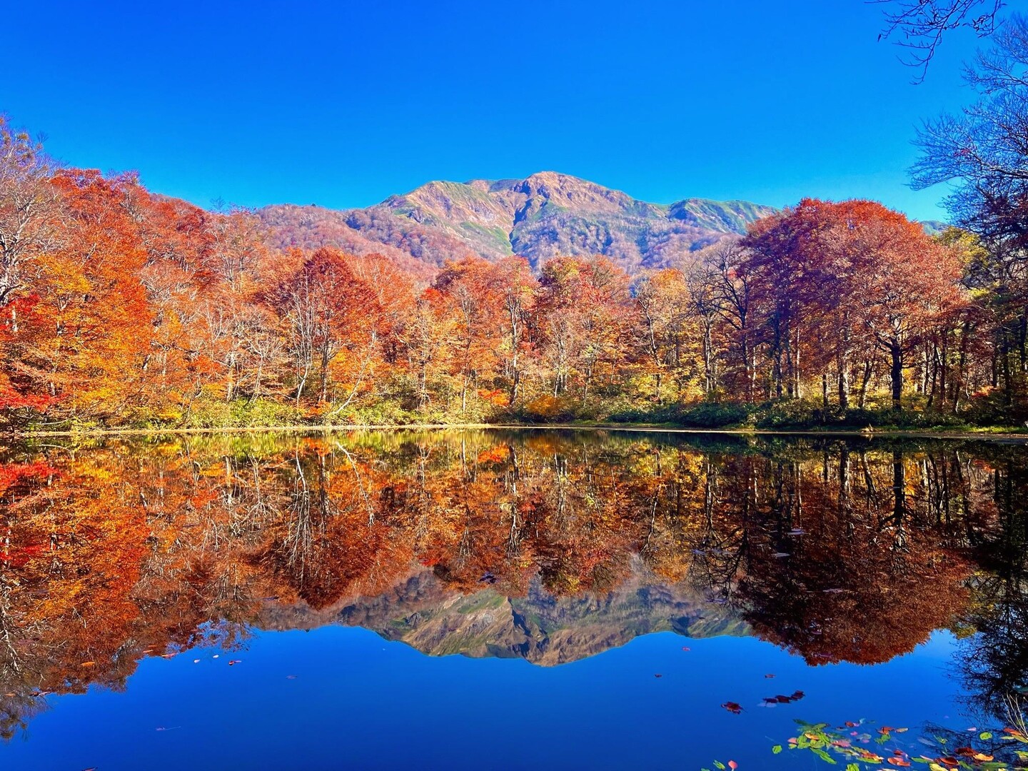 『刈込池』紅葉 reflection🍁 / TADY.さんの白山・別山・銚子ヶ峰の活動データ | YAMAP / ヤマップ