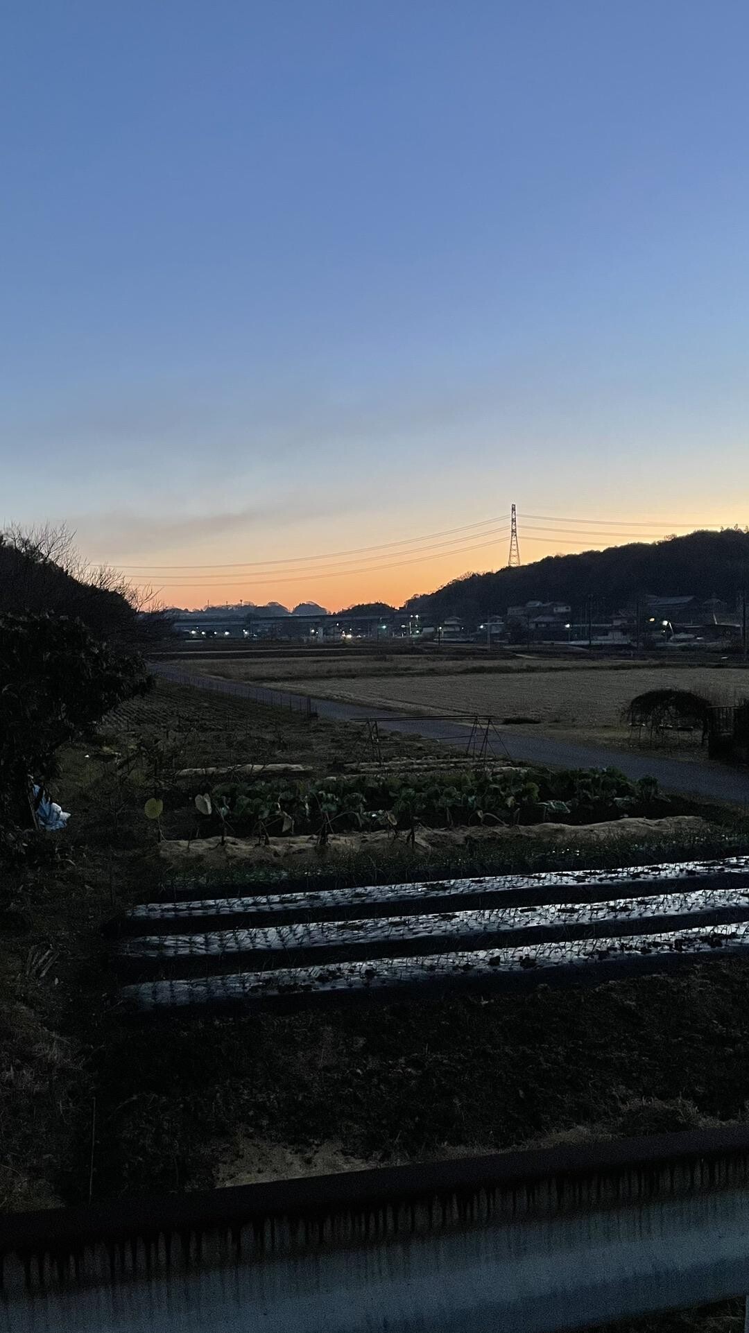 継鹿尾山 / Sumiさんの鳩吹山の活動データ | YAMAP / ヤマップ