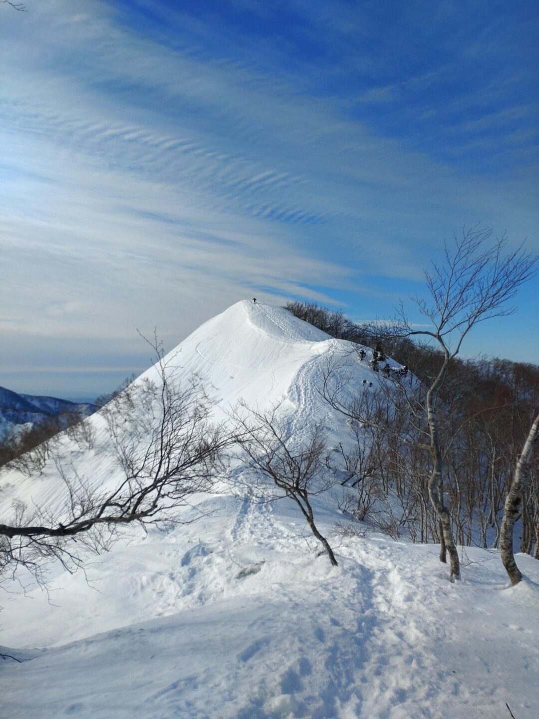 今年初、五頭山 3-1 / P-kanさんの五頭山・菱ヶ岳・宝珠山の活動データ | YAMAP / ヤマップ