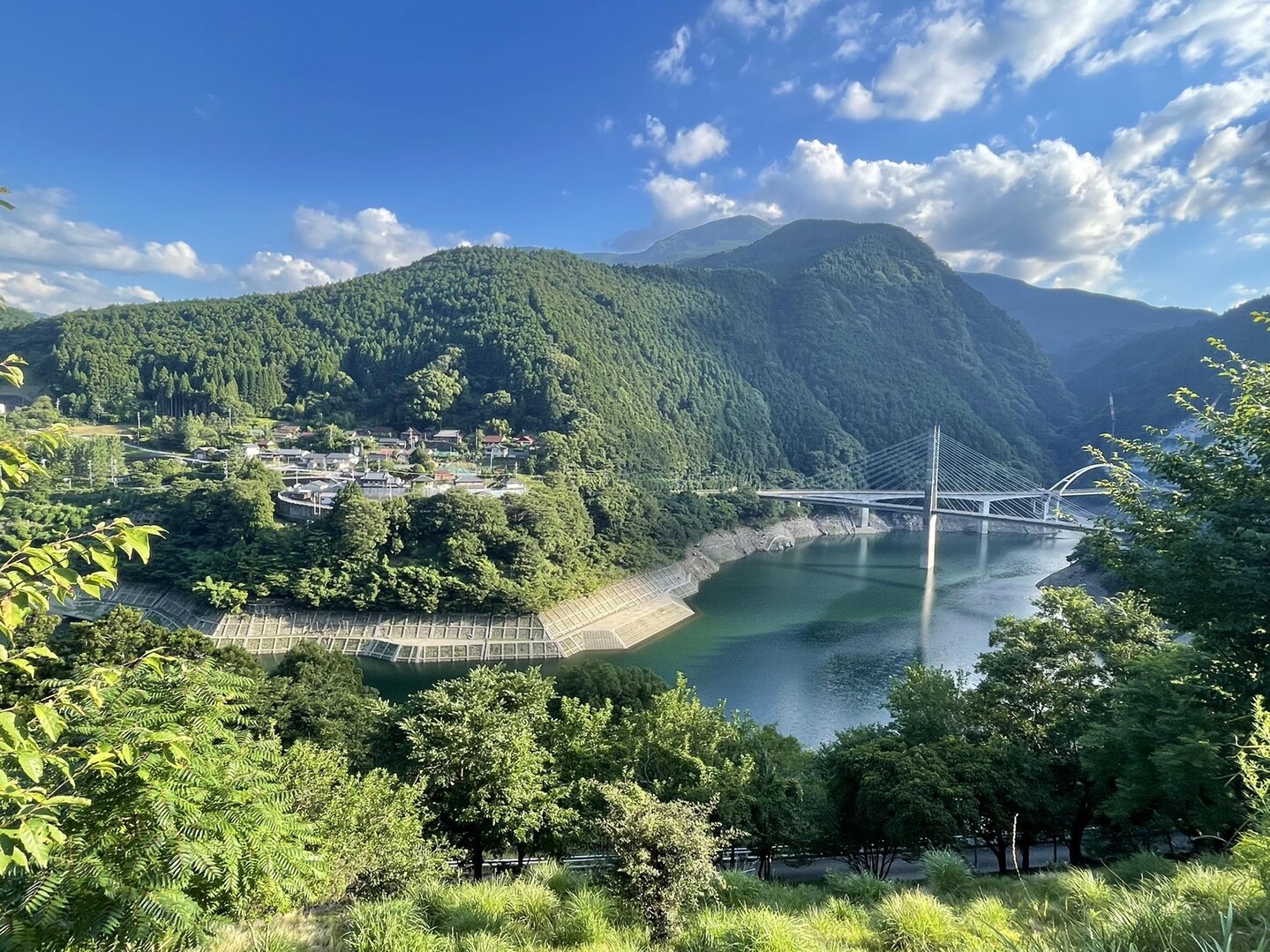 上多古 上谷の遡行敗退 2023-07-17 / Andyさんのウォーキングの活動データ | YAMAP / ヤマップ