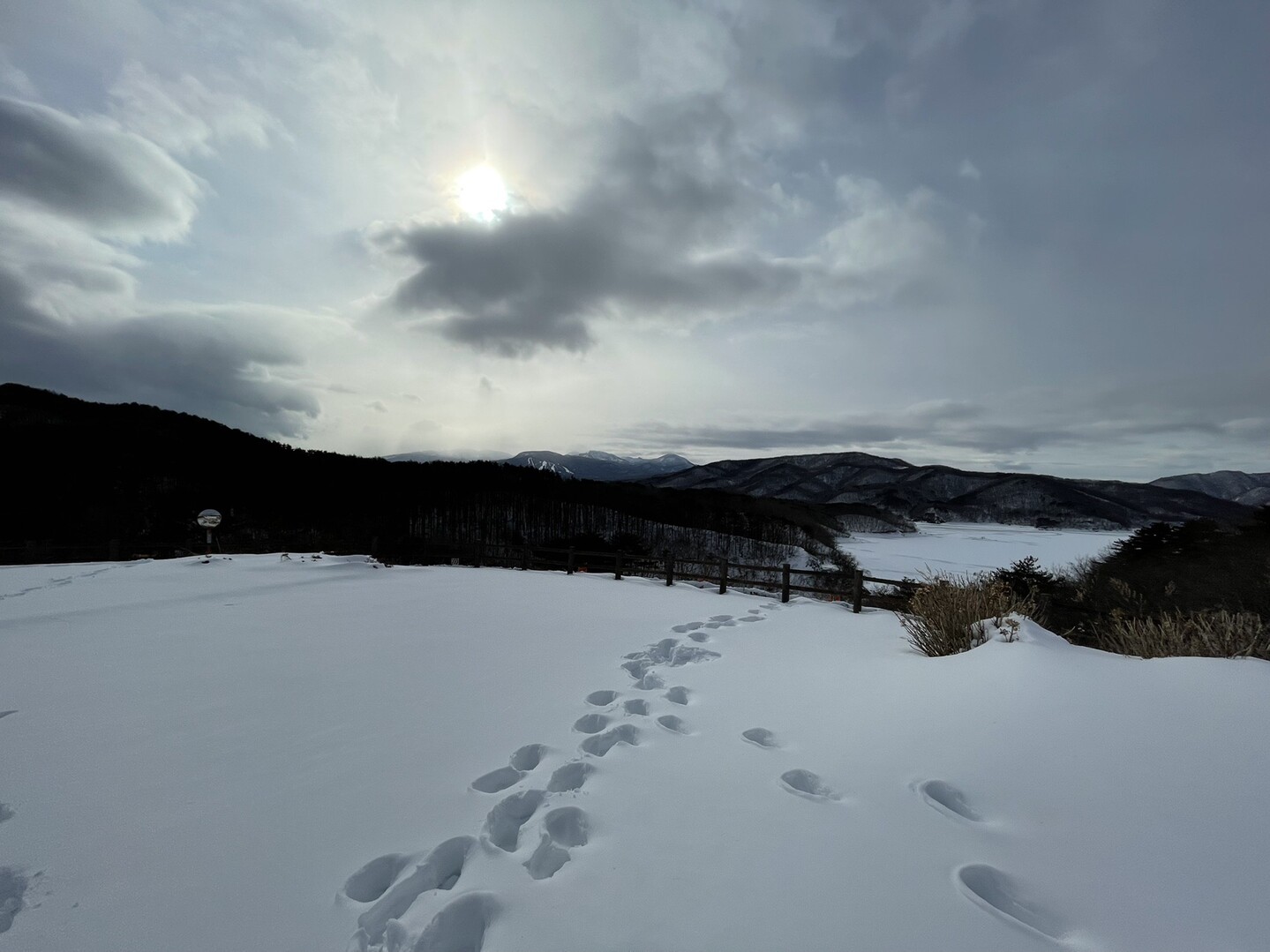 2022.03.06(日) 01:25 / ケロケロ🐸🐸🐸さんのモーメント | YAMAP / ヤマップ