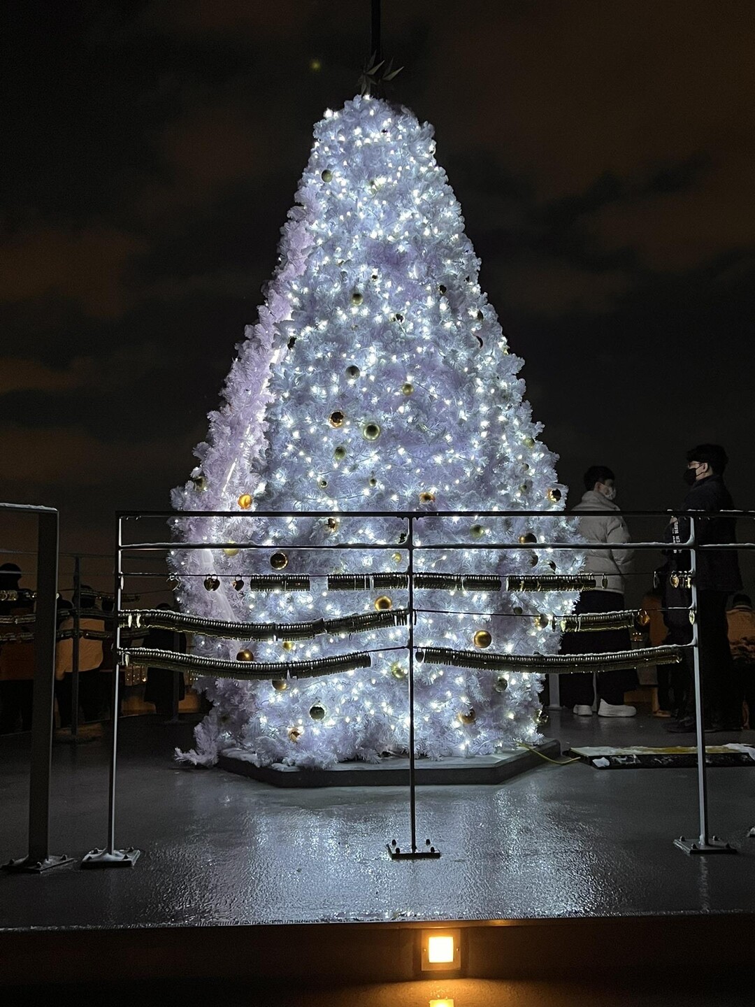 藻岩山 / kyo-1さんの藻岩山の活動データ | YAMAP / ヤマップ