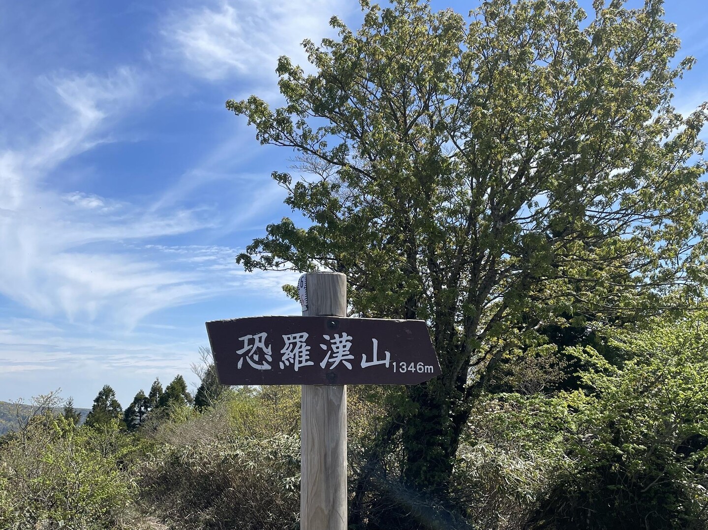 恐羅漢山・旧羅漢山 / sikaさんの恐羅漢山の活動日記 | YAMAP / ヤマップ