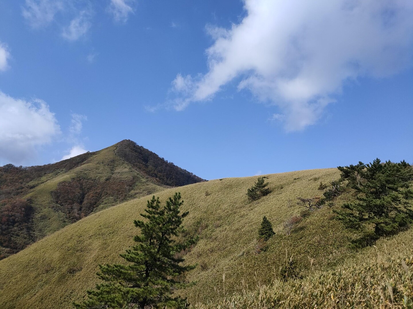 下蒜山 / akgestさんの蒜山の活動データ | YAMAP / ヤマップ