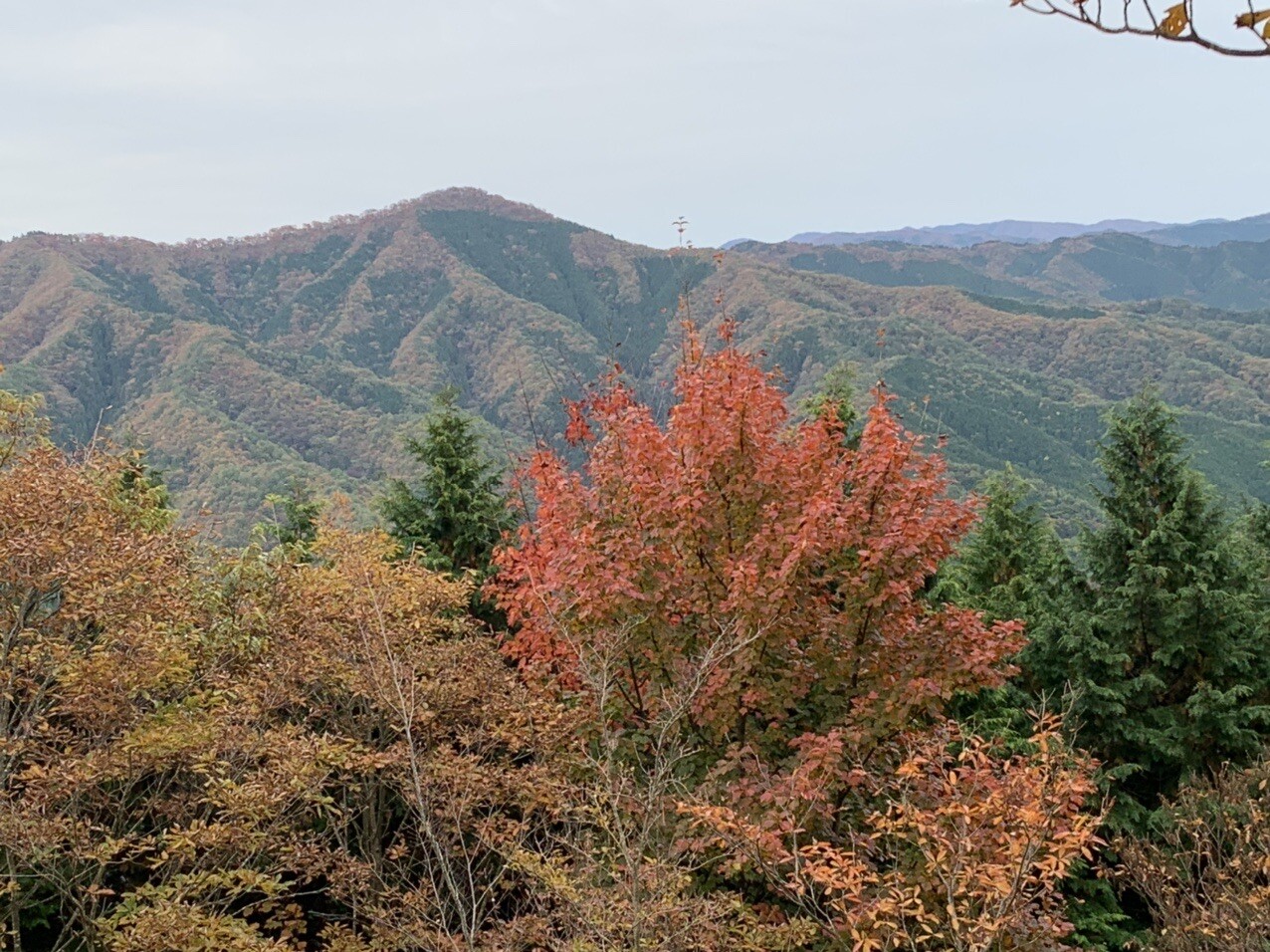 楽しい沢登りコース😋飯ヶ岳 / koma_xさんの飯ヶ岳・雀谷山の活動データ | YAMAP / ヤマップ