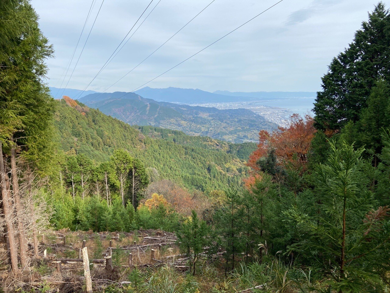 インディ510さんの投稿したフィールドメモ | YAMAP / ヤマップ