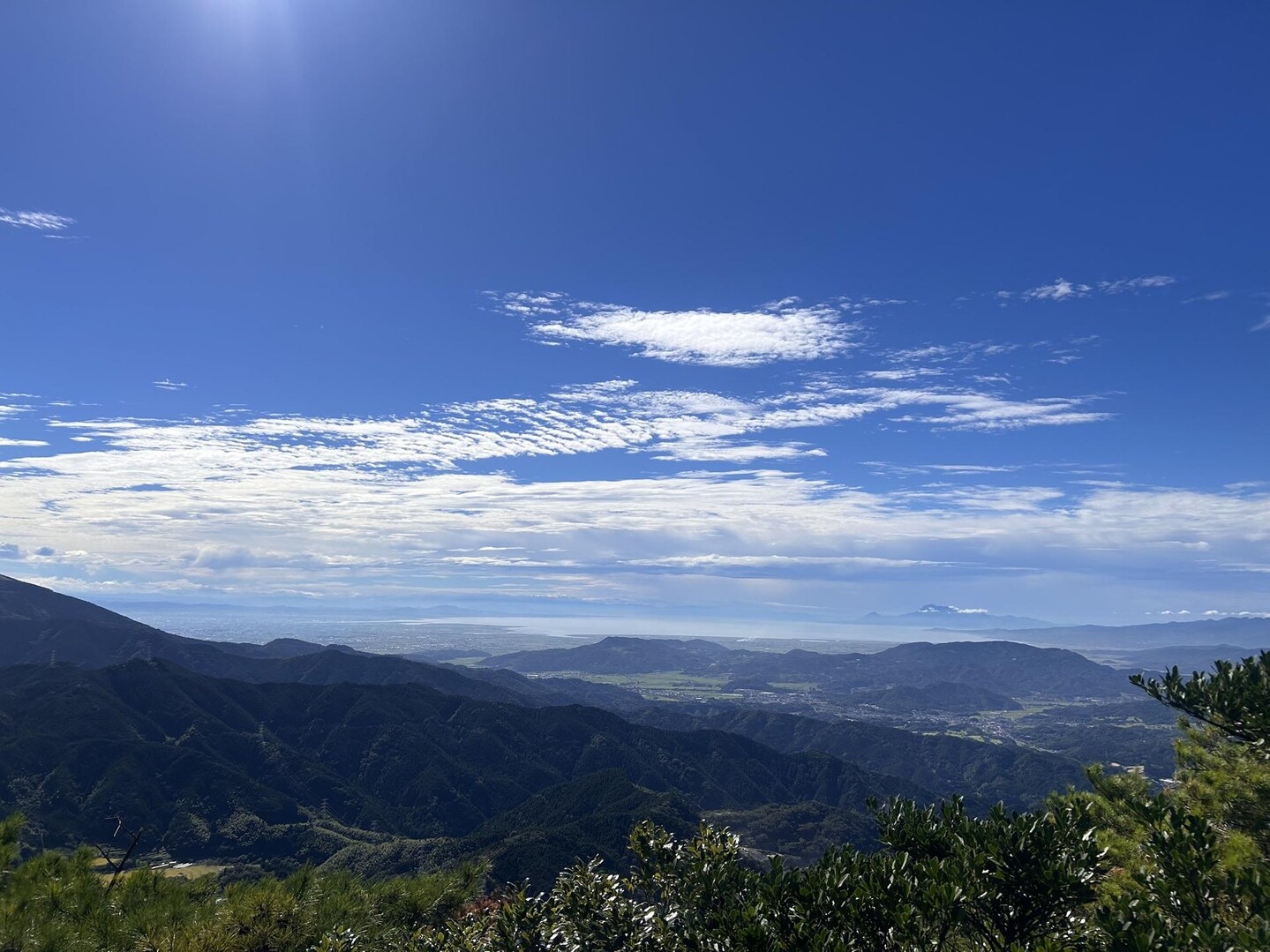 作礼山東峰（権現山）・作礼山・897ピーク / ぽこさんの作礼山の活動データ | YAMAP / ヤマップ