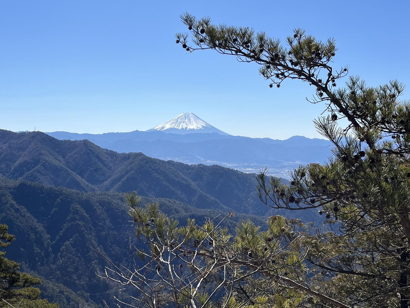 弥三郎岳（羅漢寺山）・白砂山へ🐾 / hachacha-umemeさんの弥三郎岳（羅漢寺山）の活動データ | YAMAP / ヤマップ