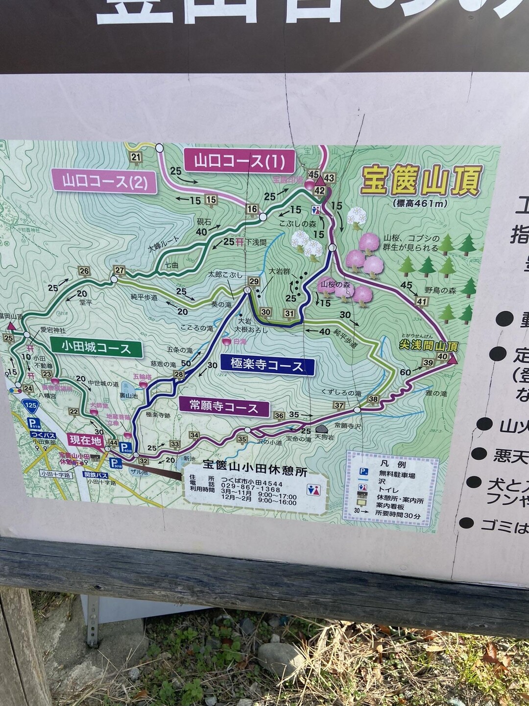 ヨロコブとオカメ石、分からなかった(T ... / キャン吉さんのモーメント | YAMAP / ヤマップ