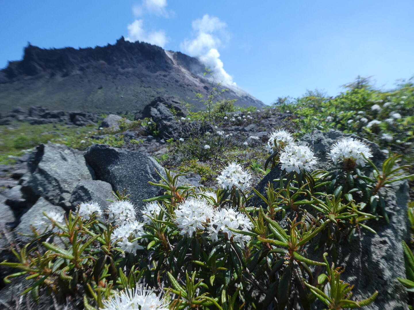今年初の樽前山(西山) / noriGさんの樽前山・風不死岳の活動データ | YAMAP / ヤマップ