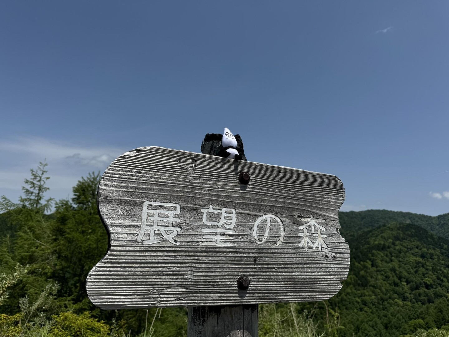 万字ズリ山 ️1️⃣2️⃣ / mii500さんの幌向岳・ズリ山の活動データ | YAMAP / ヤマップ
